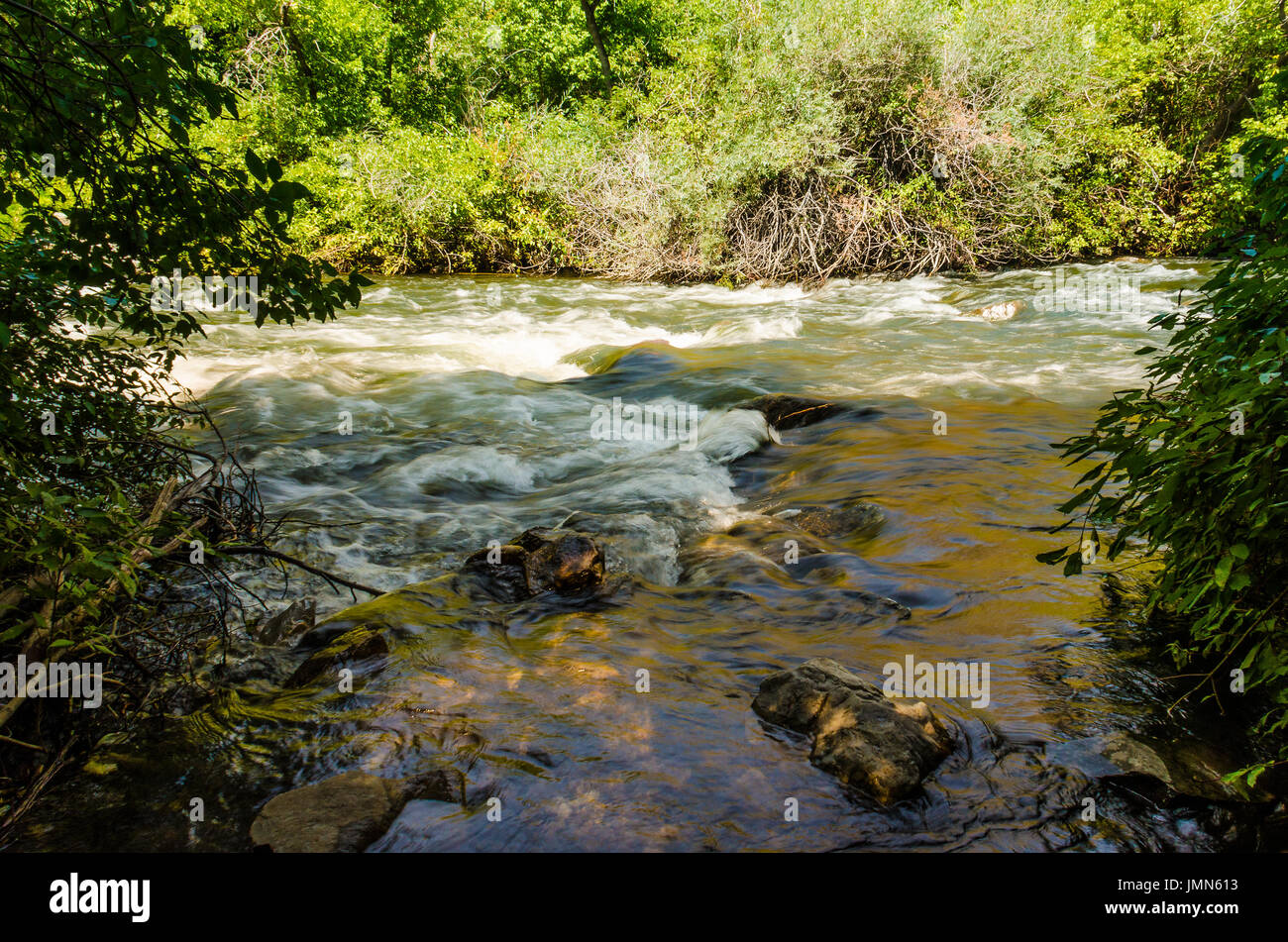 Little Cottonwood Creek River in Utah's Wasatch Range Stock Photo - Alamy