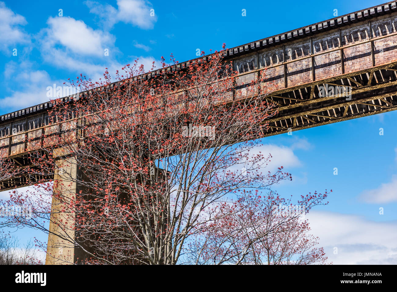 Railroad old bridge with red tree in Accotink park Stock Photo - Alamy