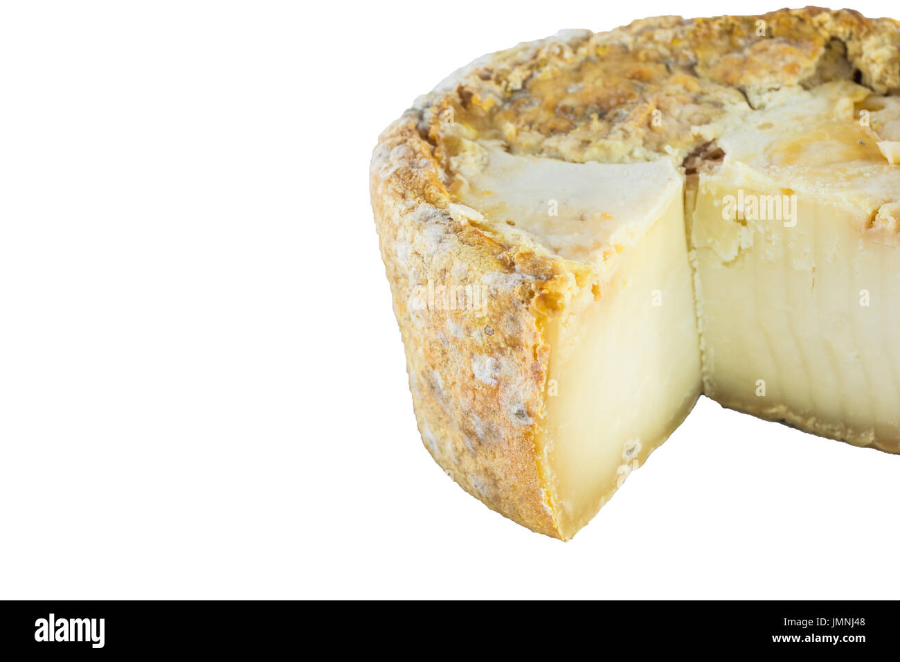 The form of hard cheese of a bloomy rind goat's milk, frost crust ...