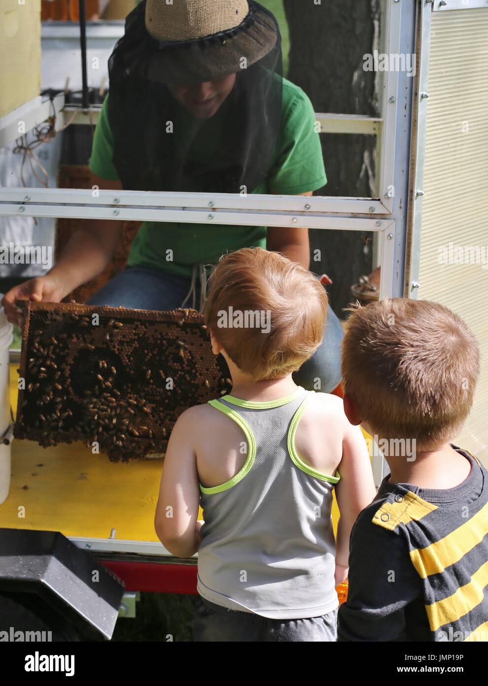 A beekeeper behind a screen, showing bees on a hive to children at the ...