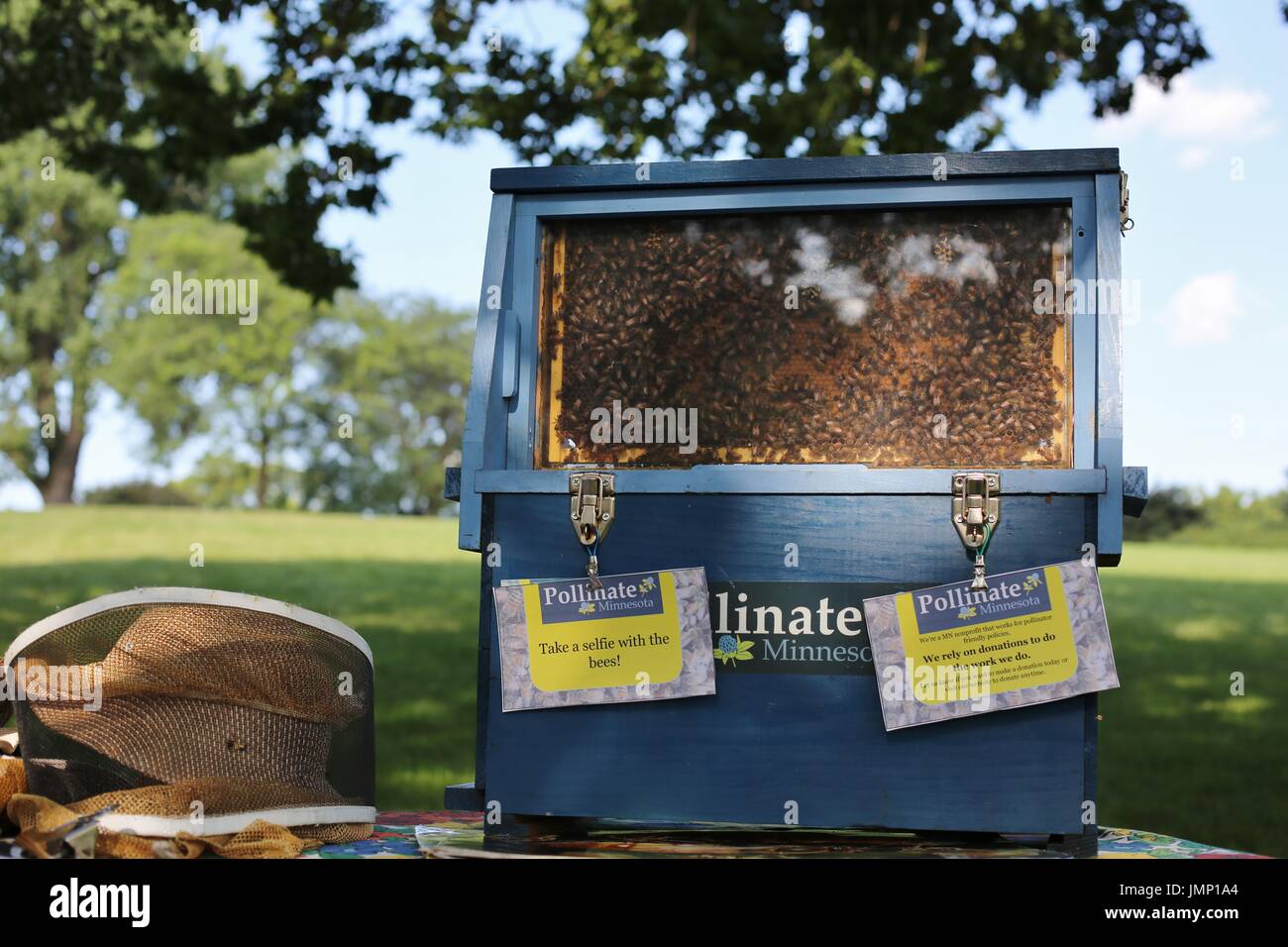 A selfie station, with bees, at the pollinator party in Minneapolis ...