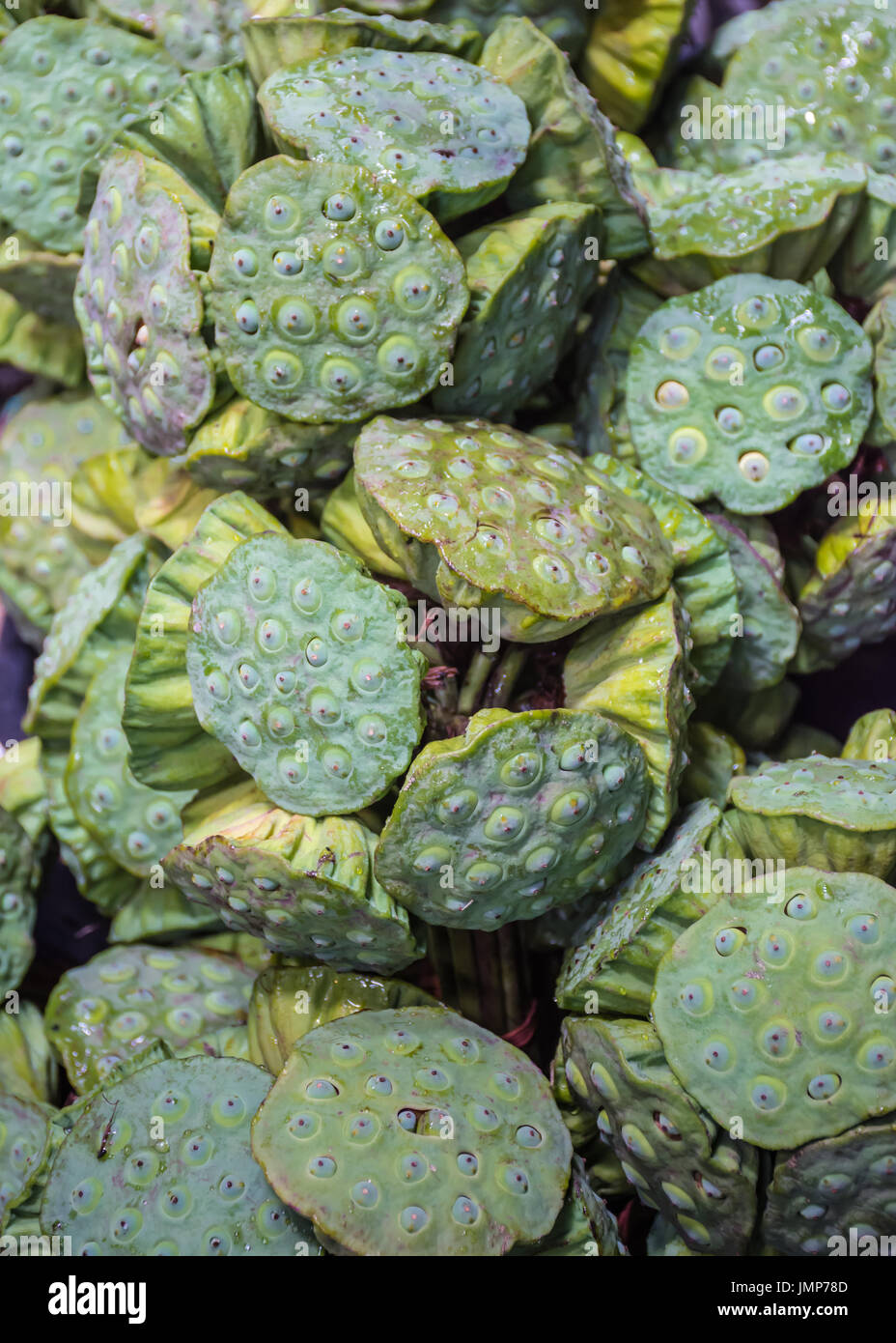 Lotus fruit hi-res stock photography and images - Alamy