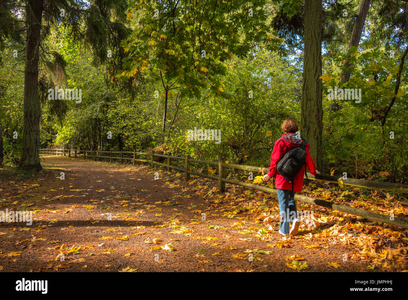 Healthy stroll hi-res stock photography and images - Alamy