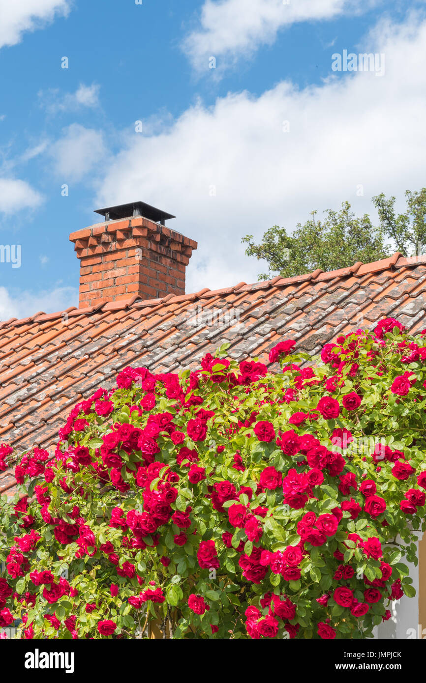 Climbing upwards hi-res stock photography and images - Alamy