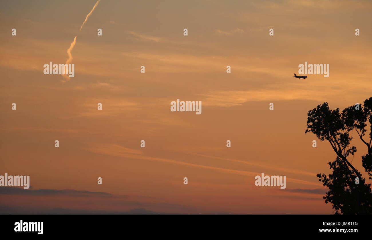 Airplane in europe flying over trees hi-res stock photography and ...