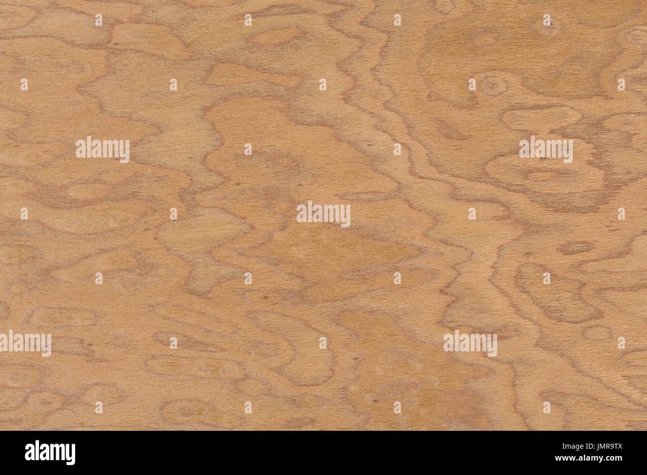 Walnut burl design texture. Natural background closeup Stock Photo - Alamy