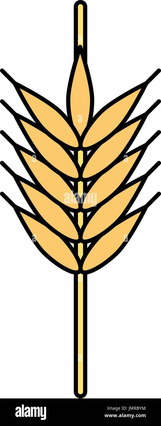 wheat ear icon image Stock Vector Image & Art - Alamy