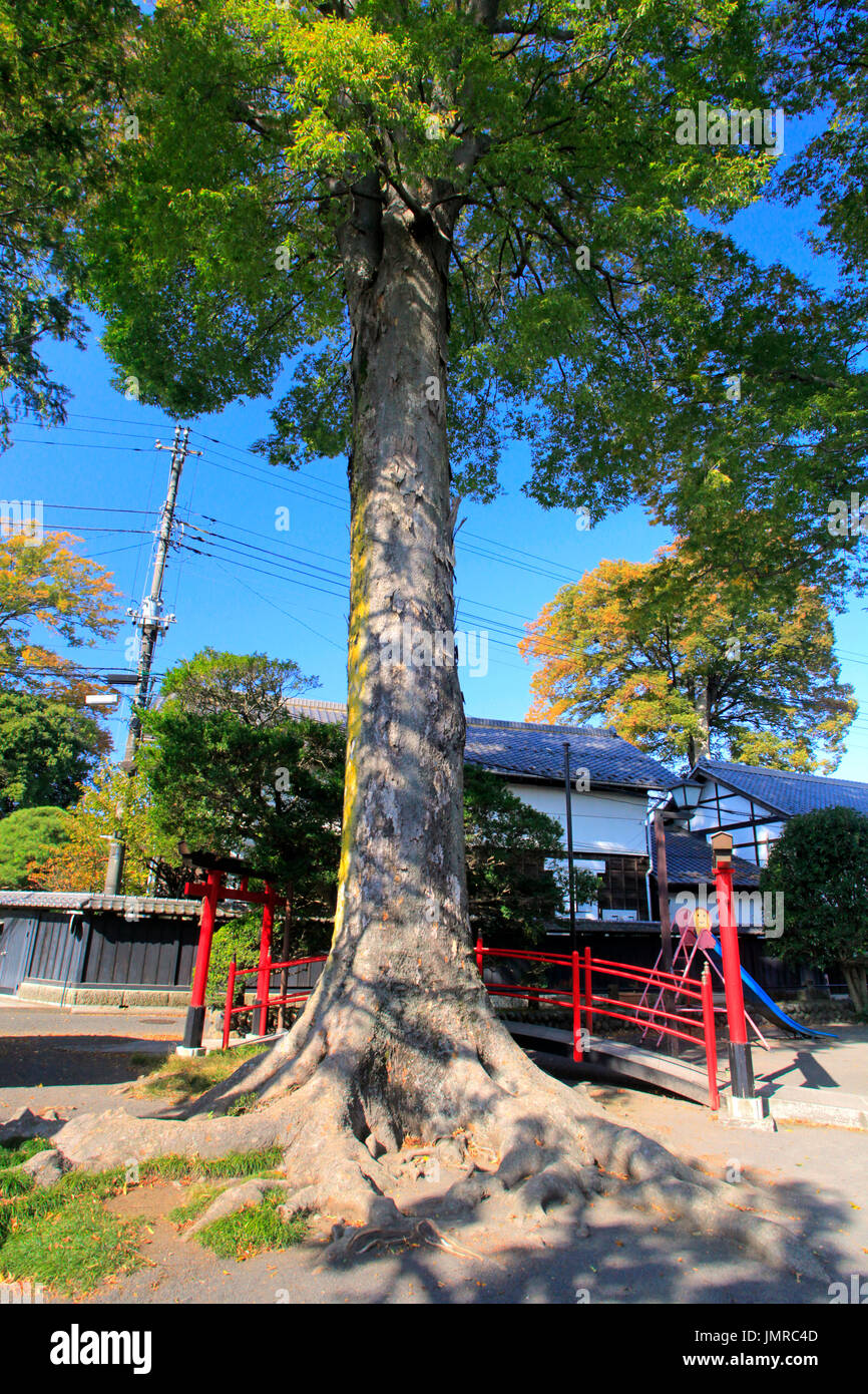 Minami Inari Jinja Shinto Shrine in Fussa Western Tokyo Japan Stock ...