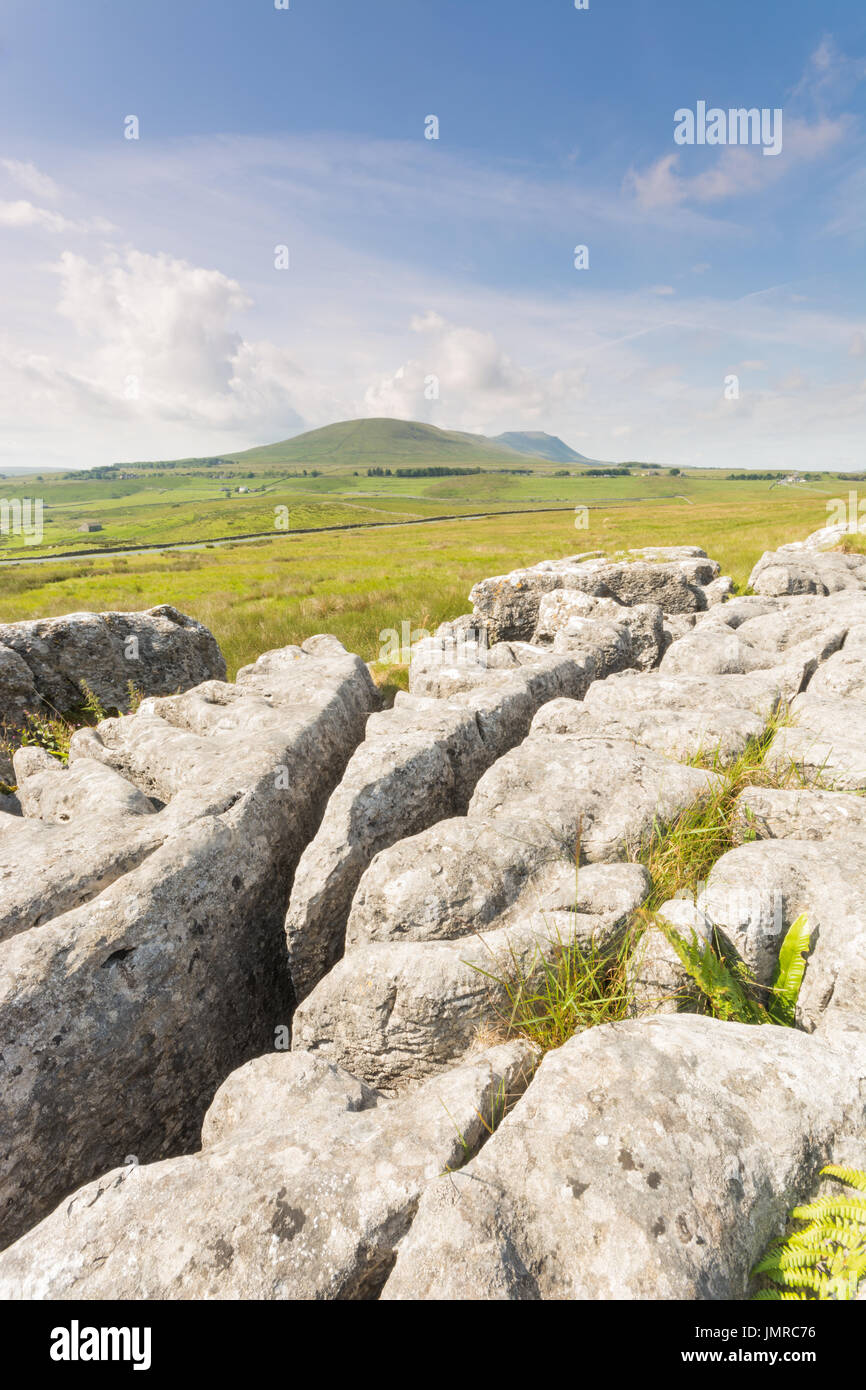 Limestone pavements with Ingleborough beyond Stock Photo - Alamy