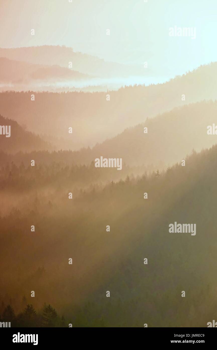 Misty dawn from hill over Valley and the forest Stock Photo - Alamy