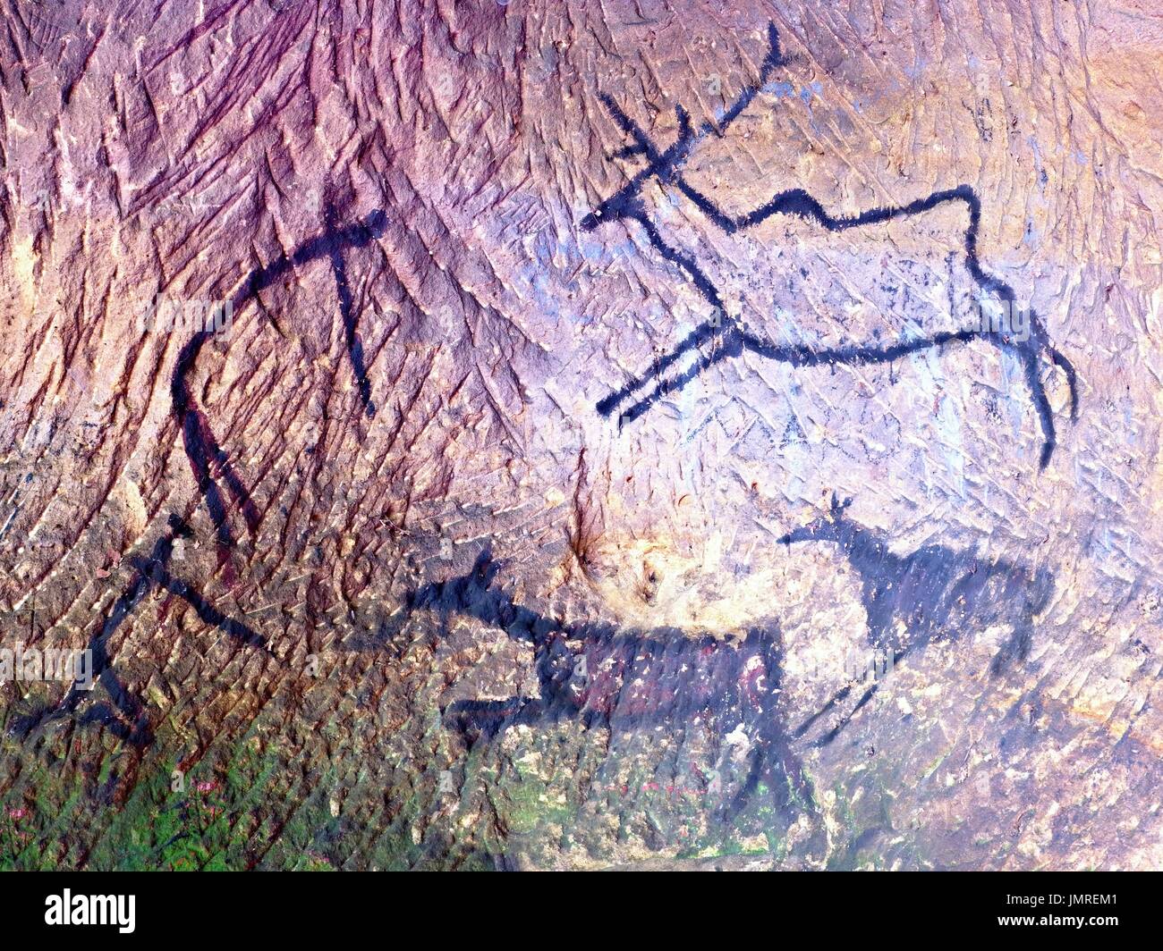 Prehistoric drawings mammoth hi-res stock photography and images - Alamy