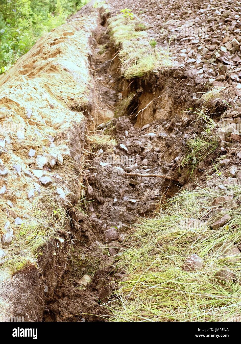 Culvert root hi-res stock photography and images - Alamy