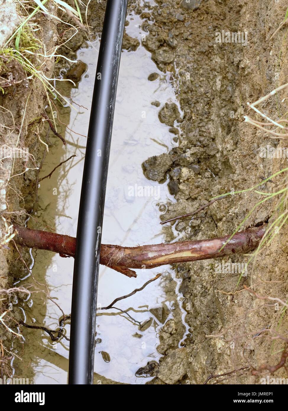 Culvert root hi-res stock photography and images - Alamy