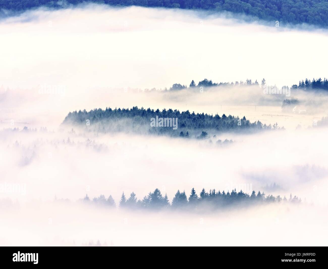 Heavy mist in landscape. Magnificent autumn creamy fog in countryside ...