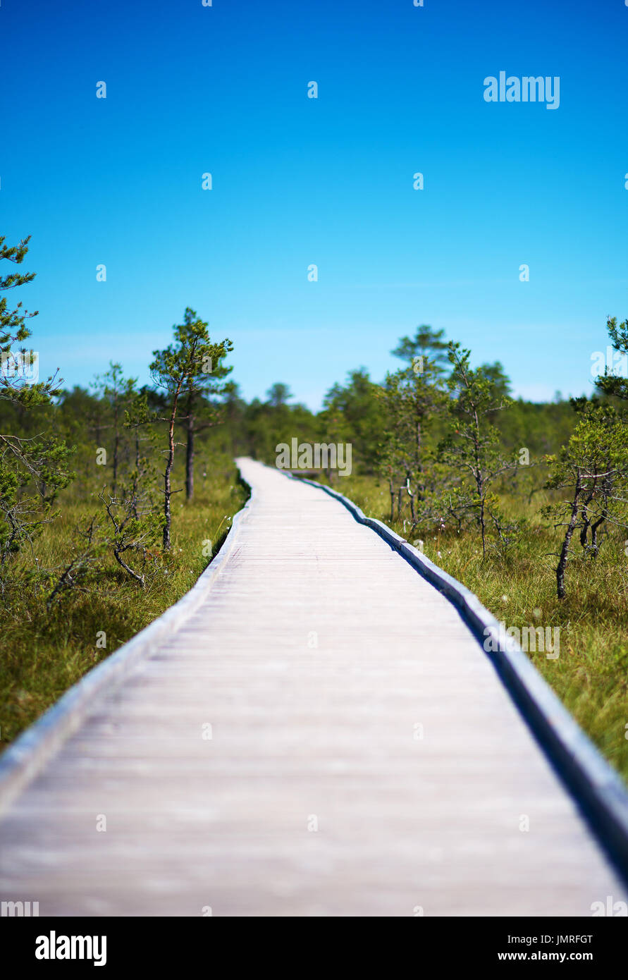 Bog walking and estonia hi-res stock photography and images - Alamy