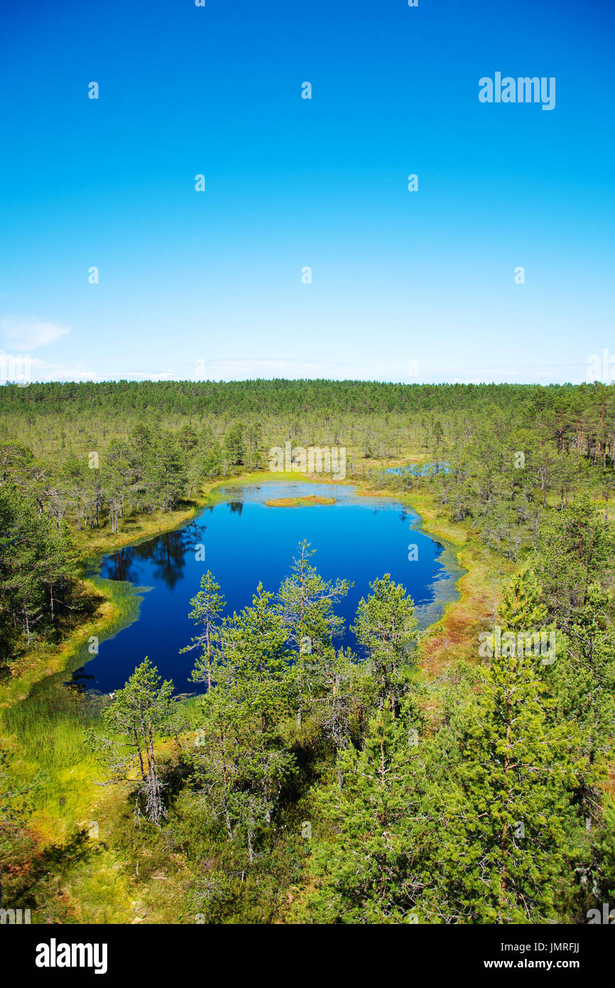 Viru bog viru raba peat swamp hi-res stock photography and images - Alamy