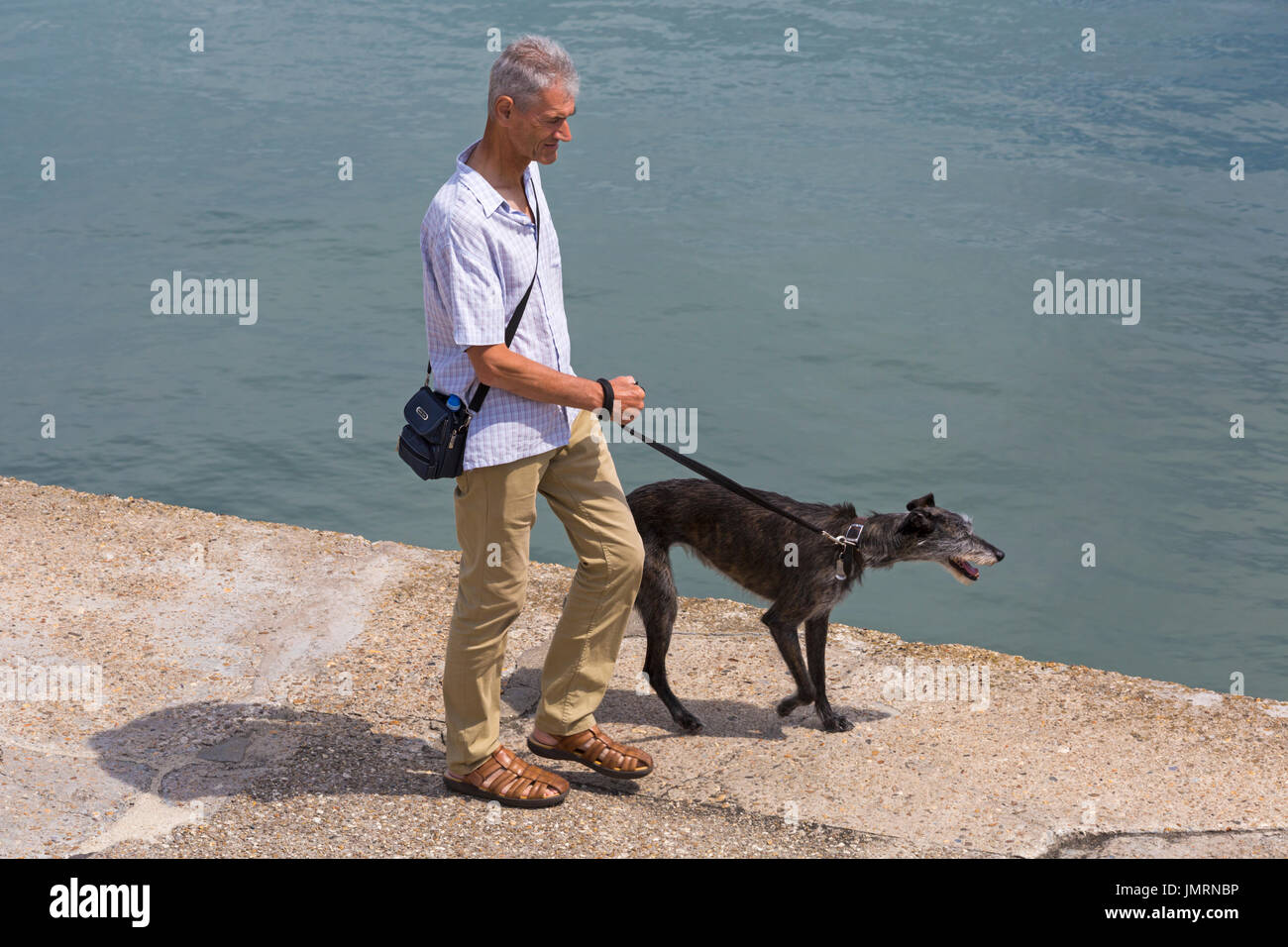 Man walking lurcher dog along harbour wall at Lyme Regis, Dorset in ...