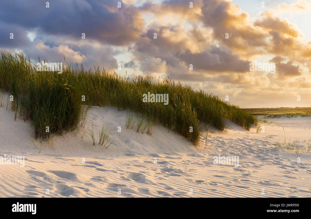 Beach ellenbogen sylt germany hi-res stock photography and images - Alamy