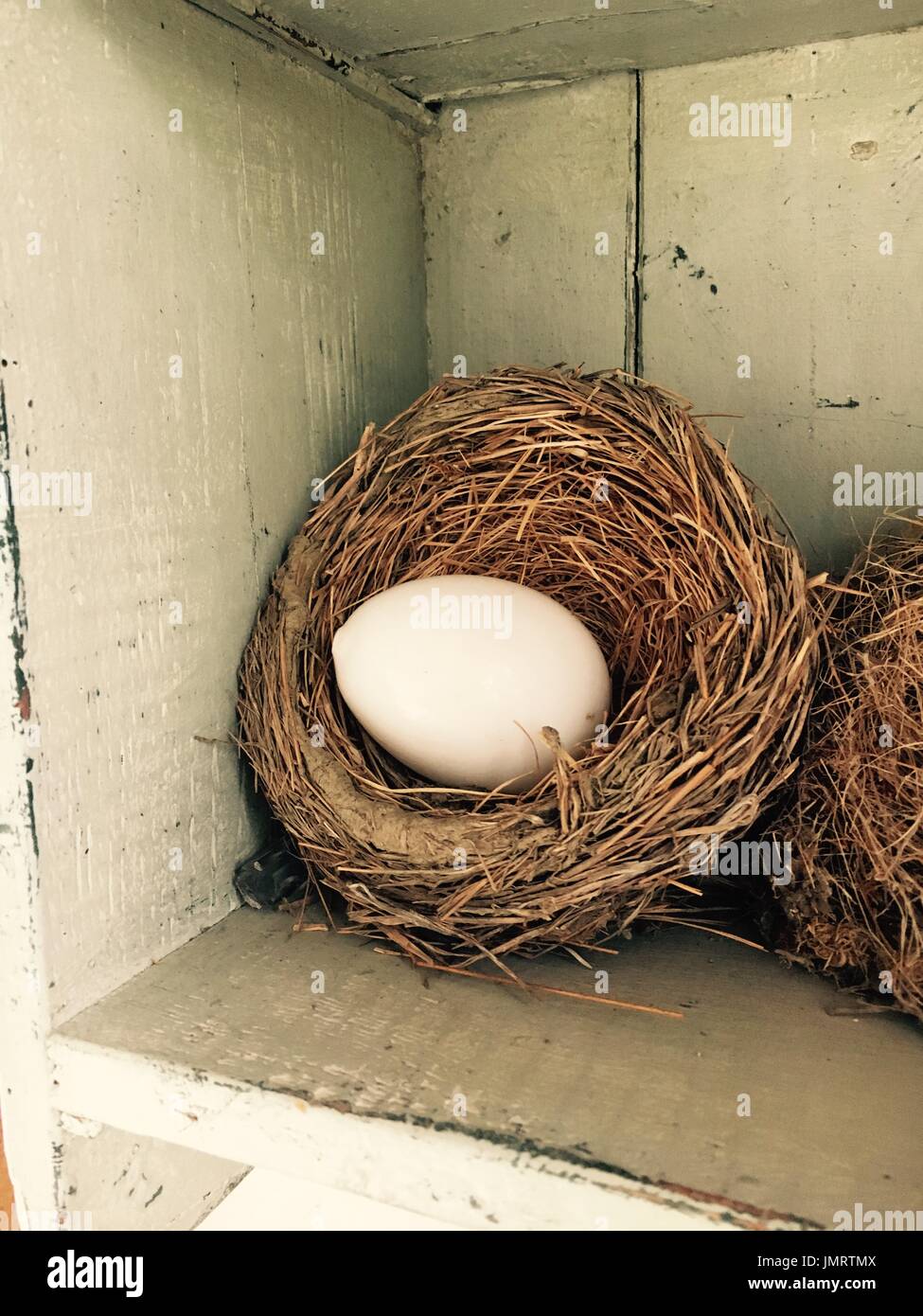 Broken Nest High Resolution Stock Photography and Images - Alamy
