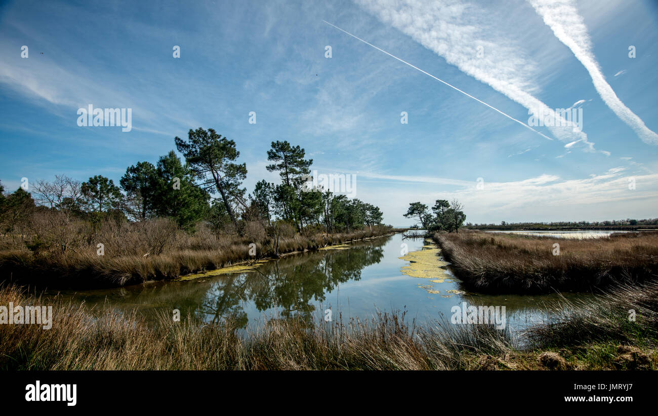 Ares Gironde Stock Photos & Ares Gironde Stock Images - Alamy