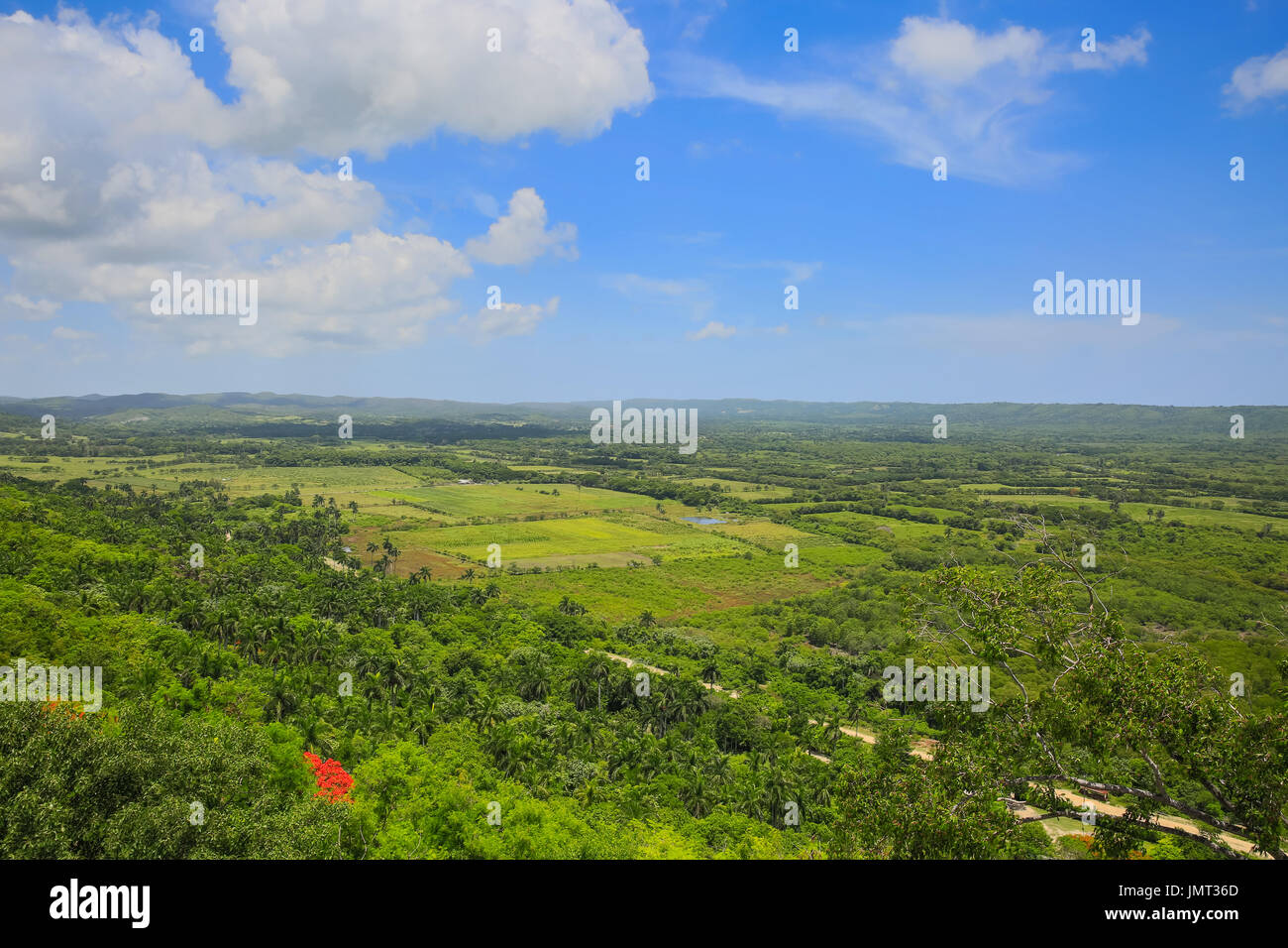 View across the The Yumurí Valley with fields of palm trees and tobacco ...