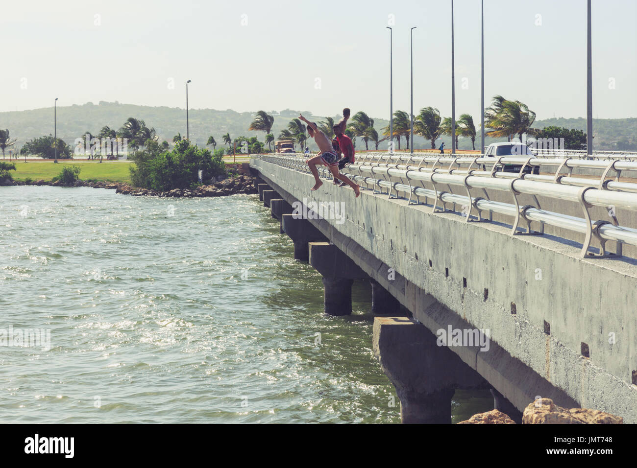 Jumping Bridge Swimming High Resolution Stock Photography and Images ...