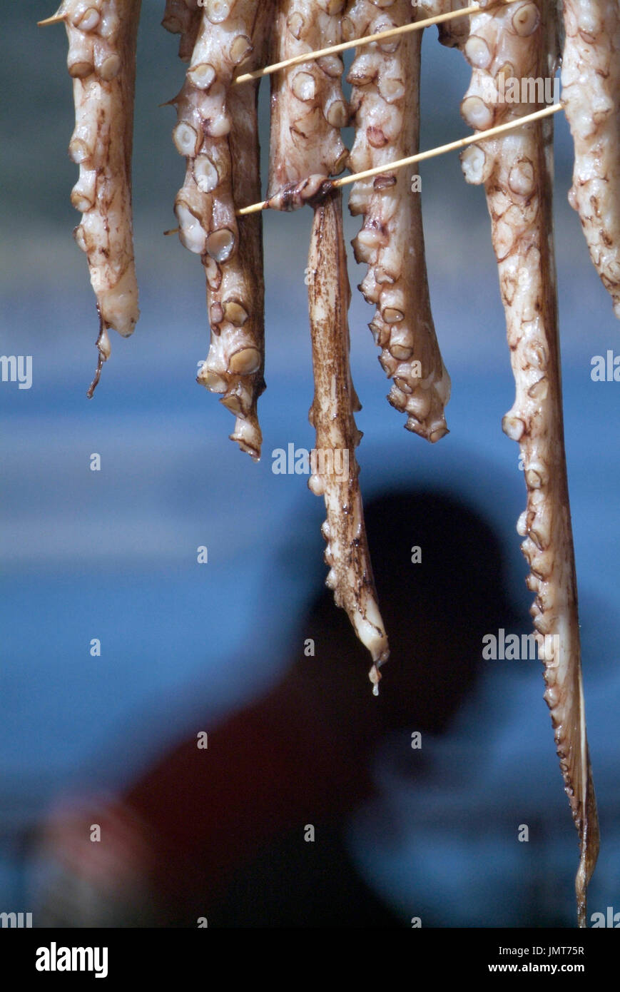 octopus drying in the sun Stock Photo - Alamy