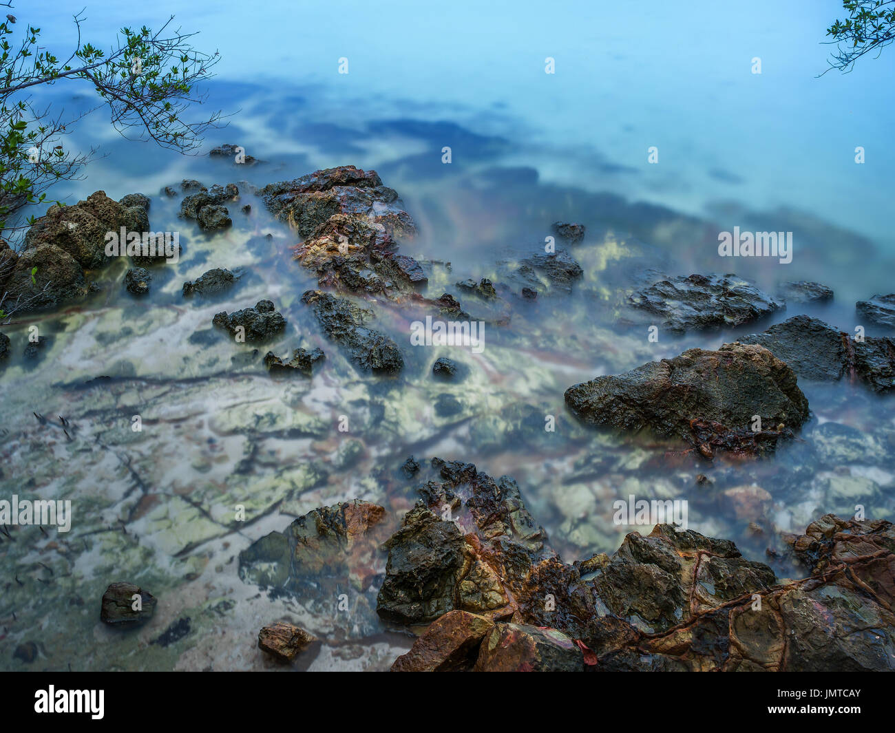 Shell sea shape nature home hi-res stock photography and images - Alamy