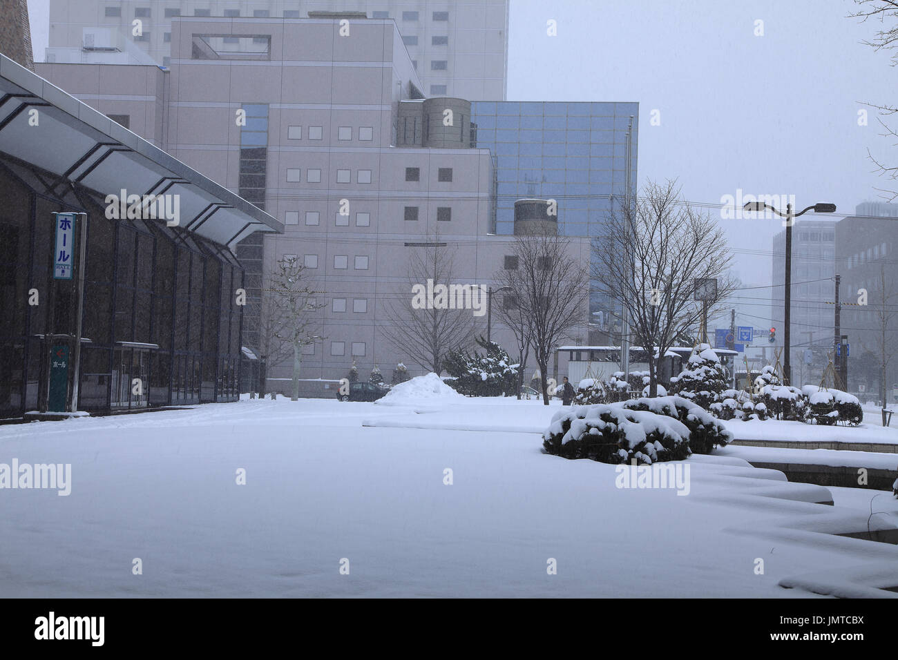 Sapporo in Winter Stock Photo - Alamy