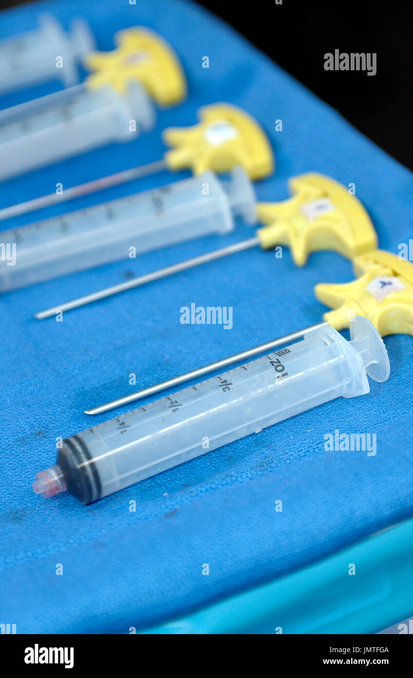 Washington, D.C. - December 8, 2003 -- Special needles and syringes are ...