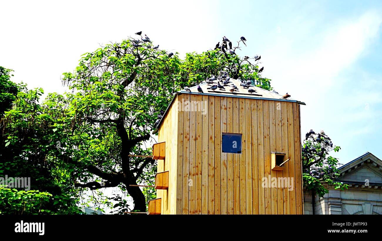 Bird observation tower nest in Project FeederWatch in Karlsruhe ...