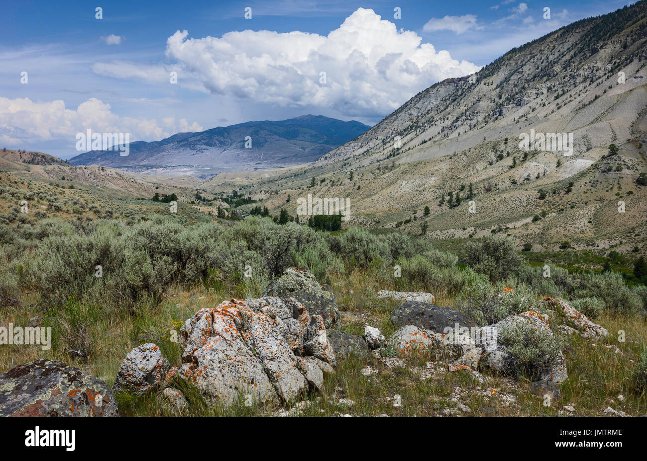 The arid landscape of the prairies with sagebrush, mountains, grasses ...