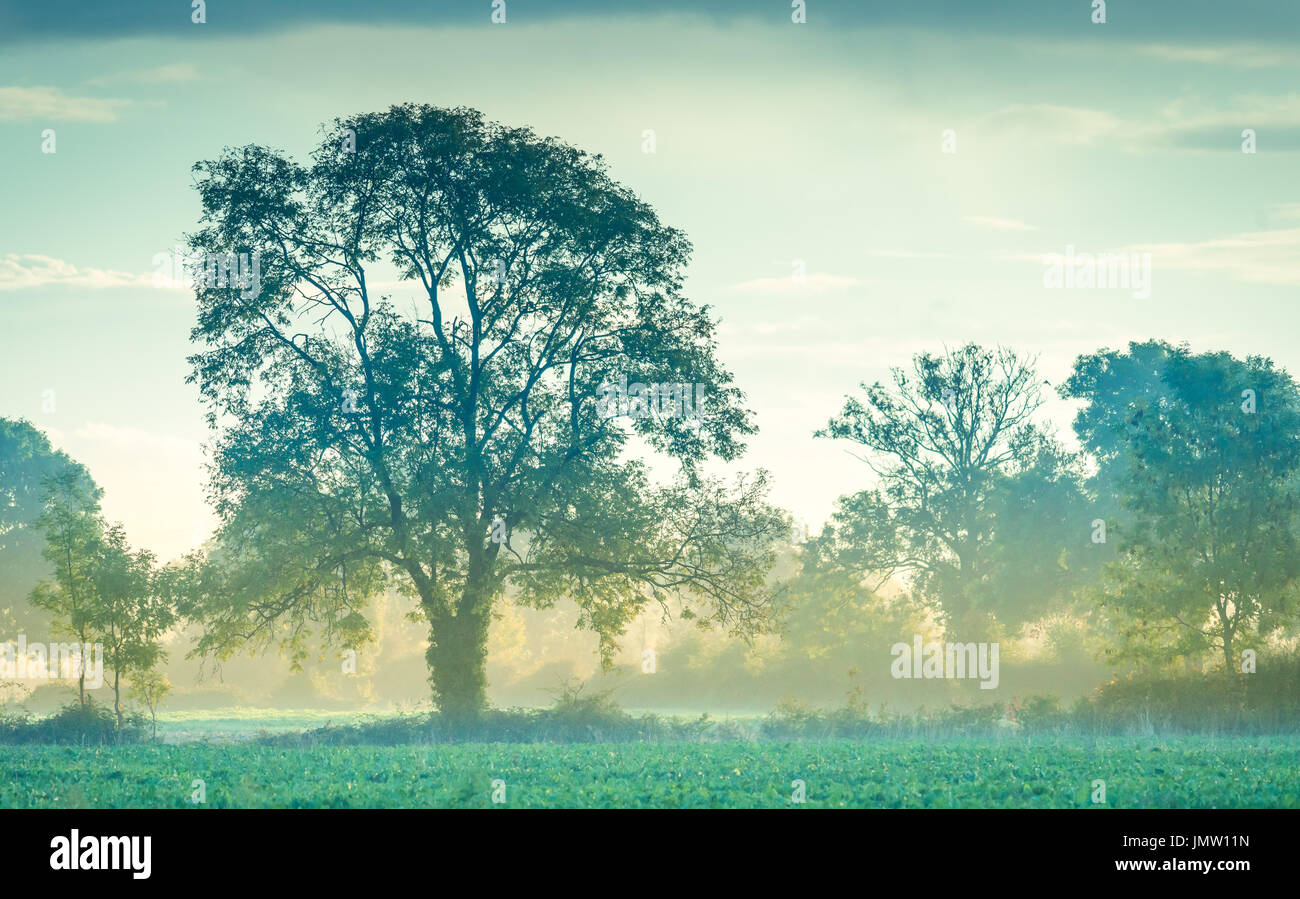 Abstract landscape countryside hi-res stock photography and images - Alamy