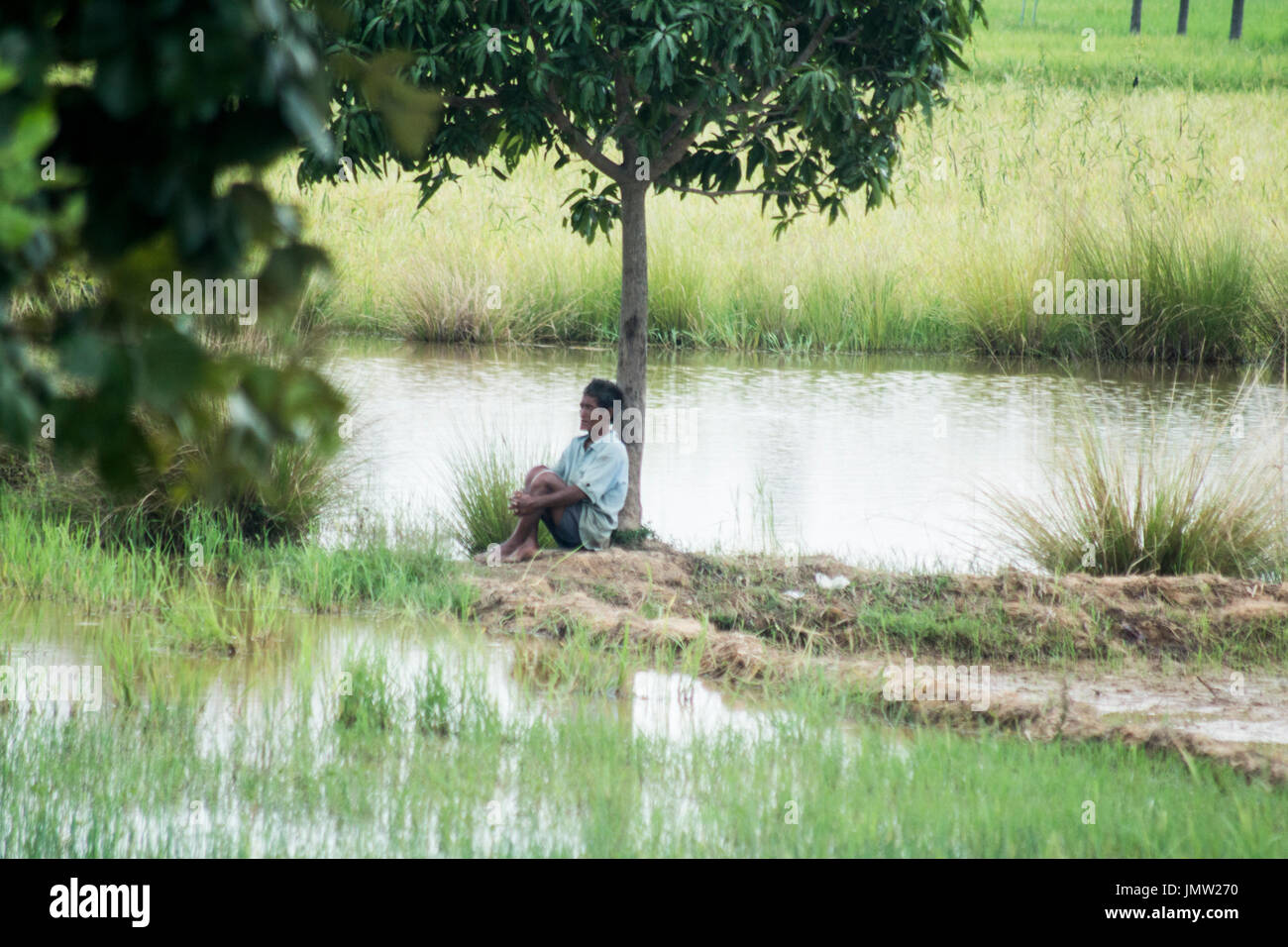 Green thinker hi-res stock photography and images - Alamy