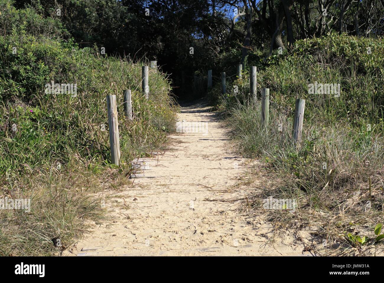 Sand path. Beach walkway Stock Photo - Alamy