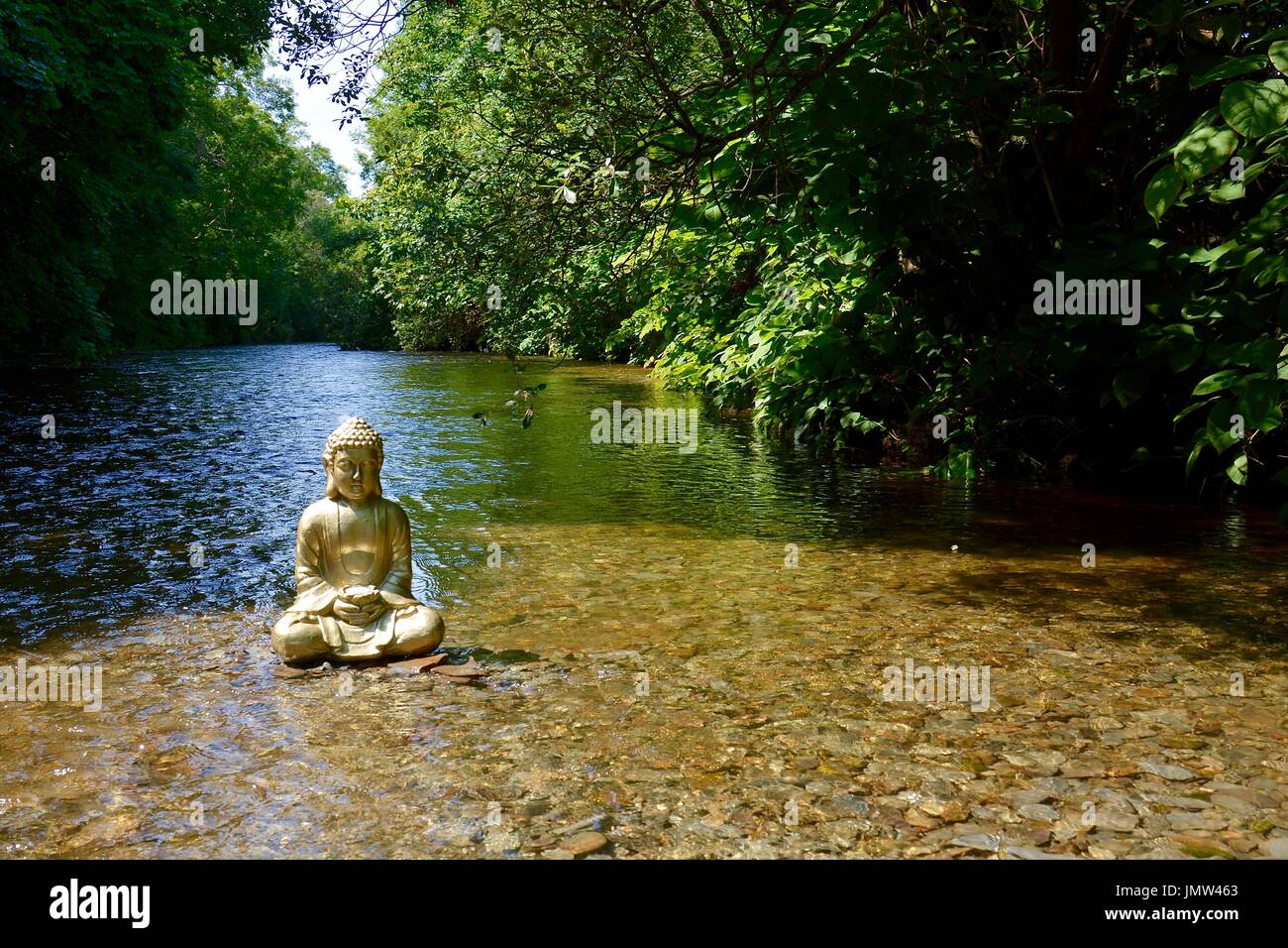 Buddhas awakening hi-res stock photography and images - Alamy