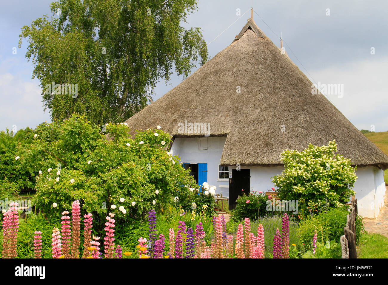 Thatched, Reed roofed house, Pfarrwitwenhaus, Gross Zicker, Moenchsgut ...