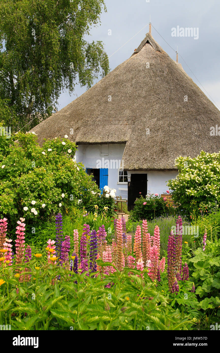 Thatched, Reed roofed house, Pfarrwitwenhaus, Gross Zicker, Moenchsgut ...