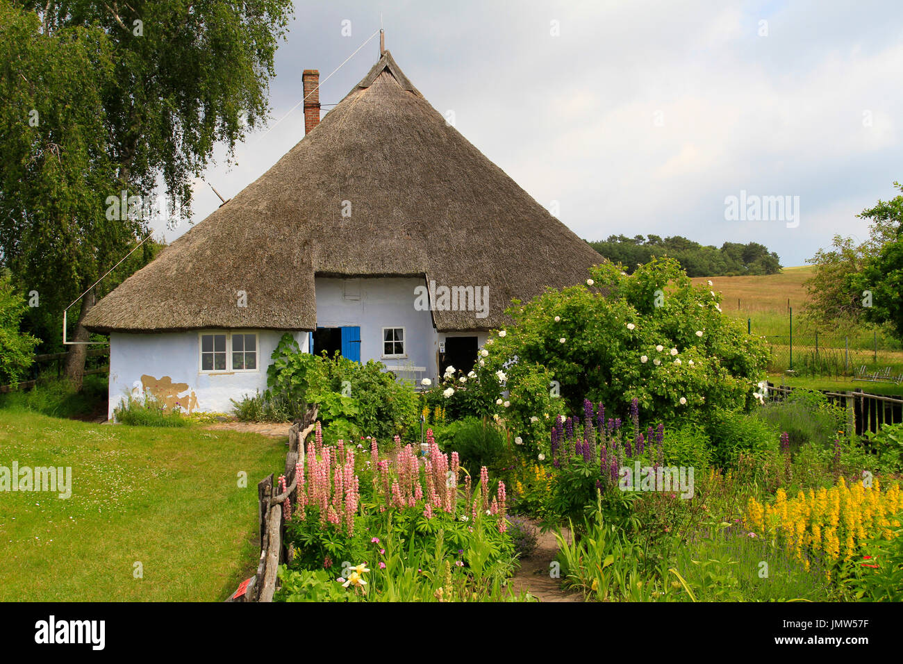 Thatched, Reed roofed house, Pfarrwitwenhaus, Gross Zicker, Moenchsgut ...