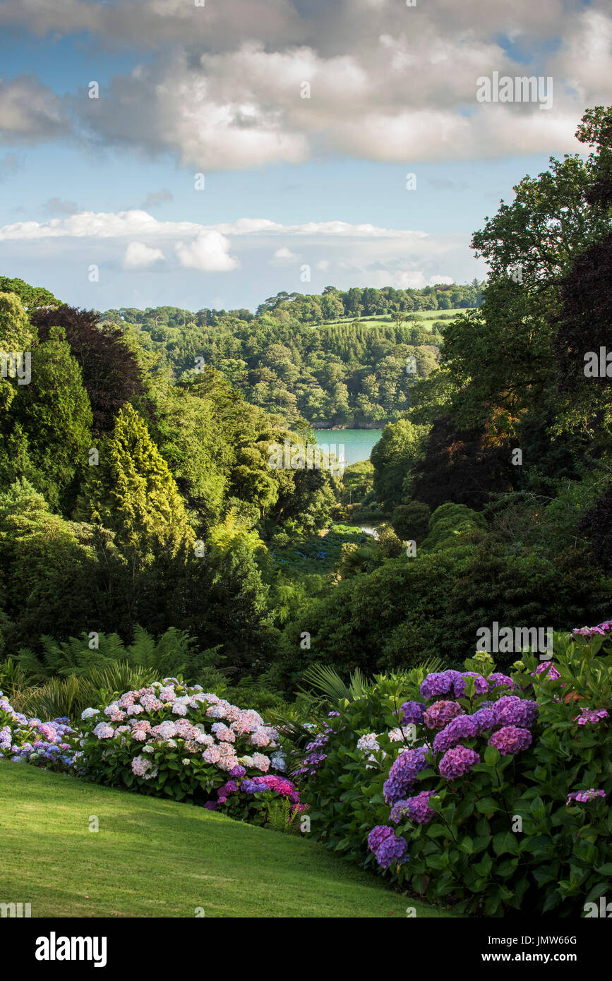 Trebah garden hi-res stock photography and images - Alamy