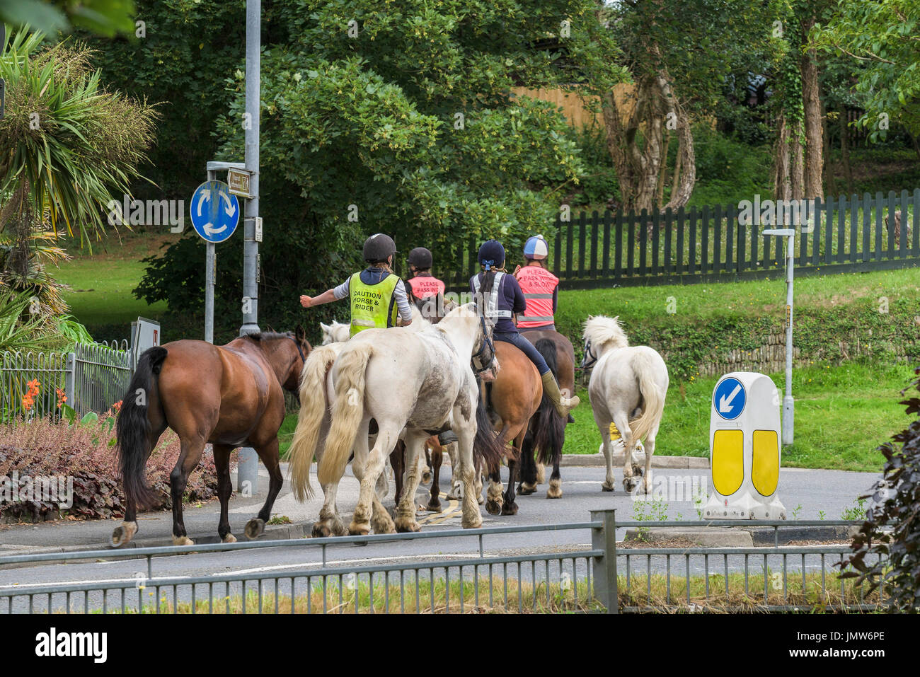 Horse riders riding on public roads Stock Photo - Alamy