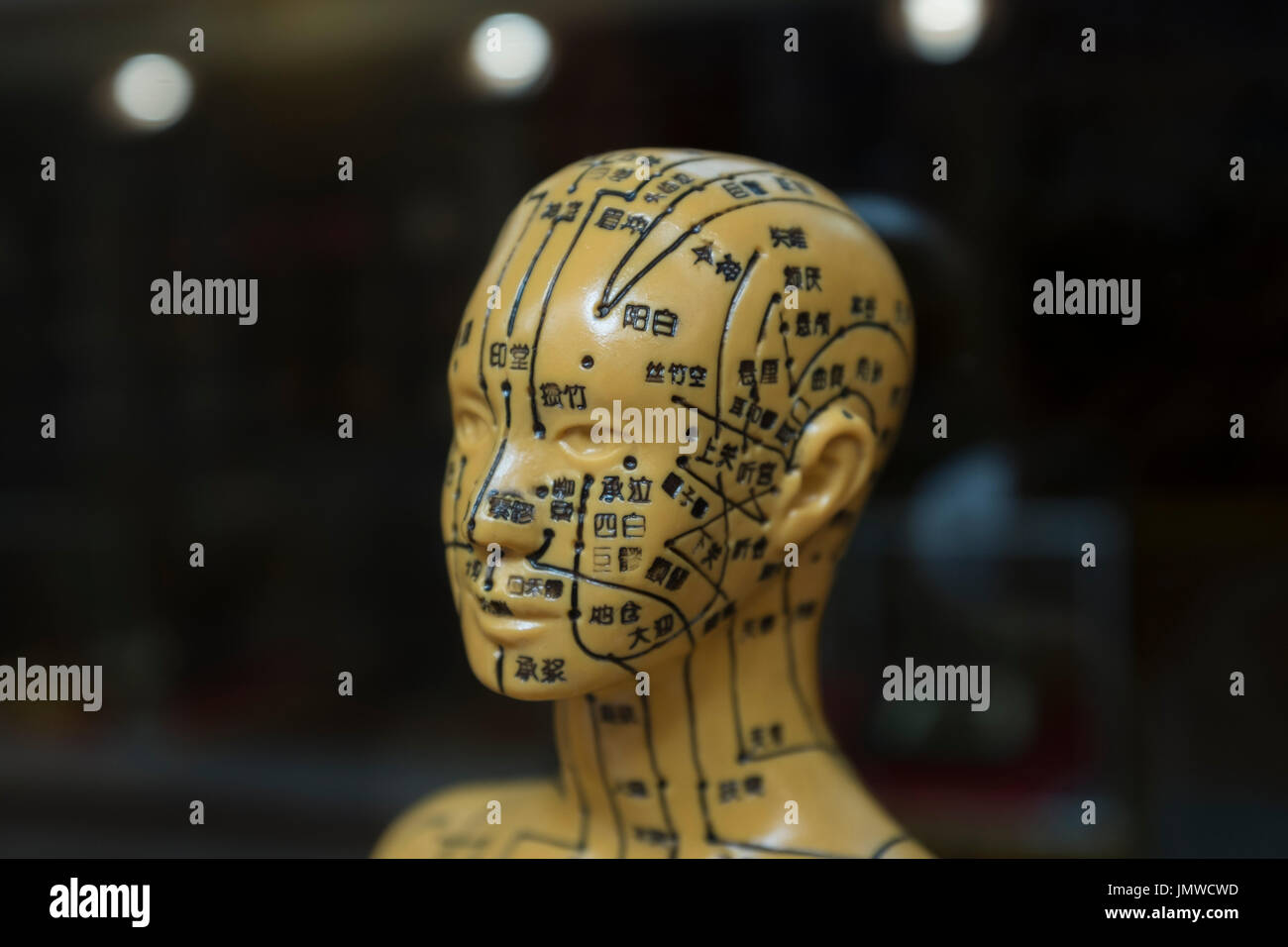 A model for channels and meridians of human body Stock Photo - Alamy