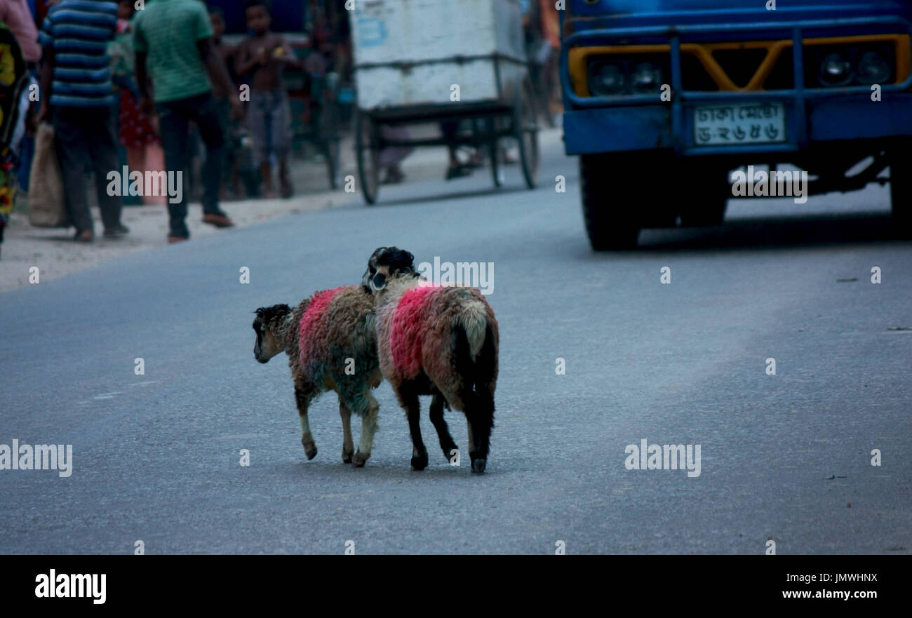 the root less children , tired and active labourer etc are seen in mega ...