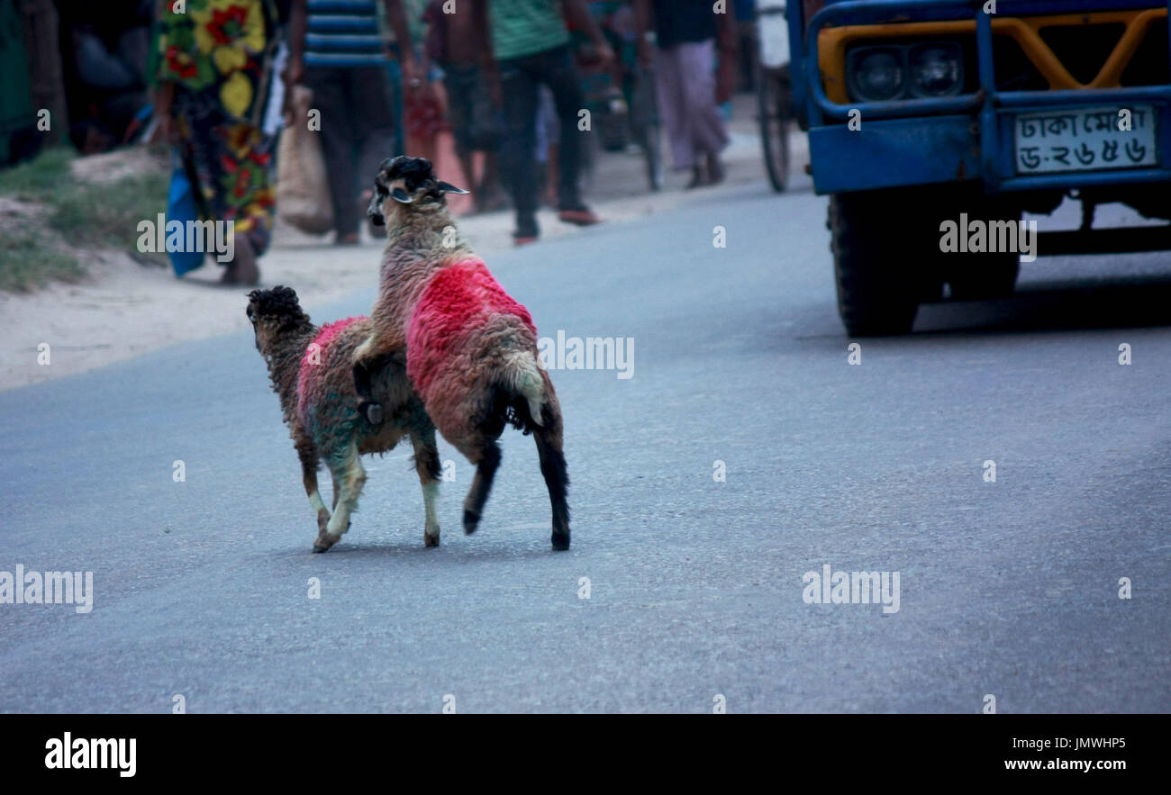 the root less children , tired and active labourer etc are seen in mega ...