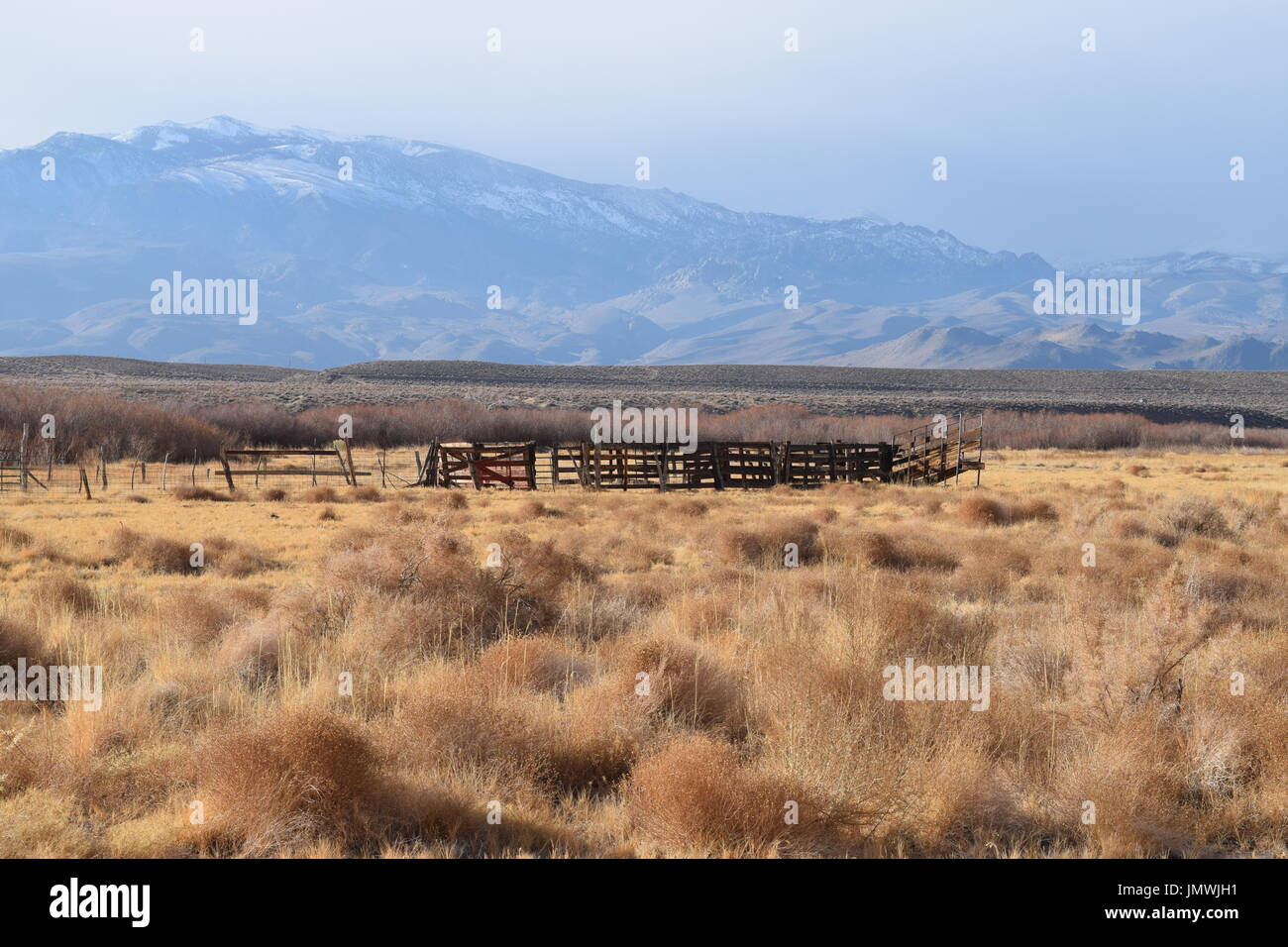 High desert cattle pen hi-res stock photography and images - Alamy
