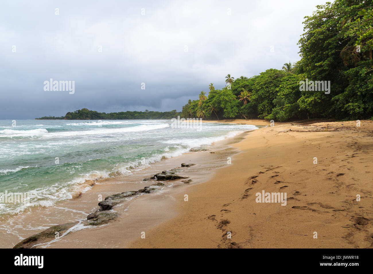 Beach forest and storm sky Stock Photo - Alamy