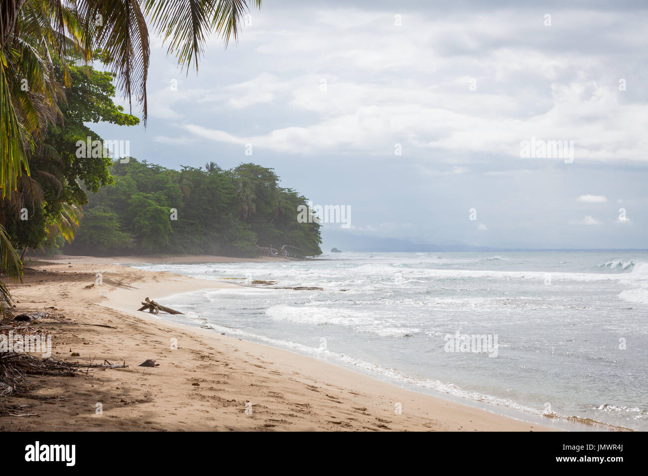 Beach forest and storm sky Stock Photo - Alamy