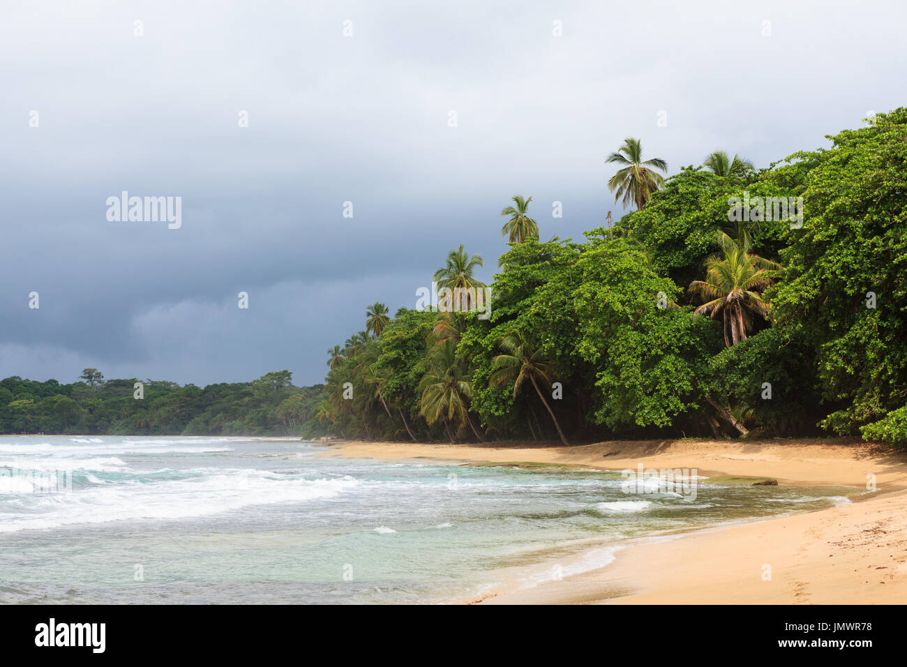 Beach forest and storm sky Stock Photo - Alamy