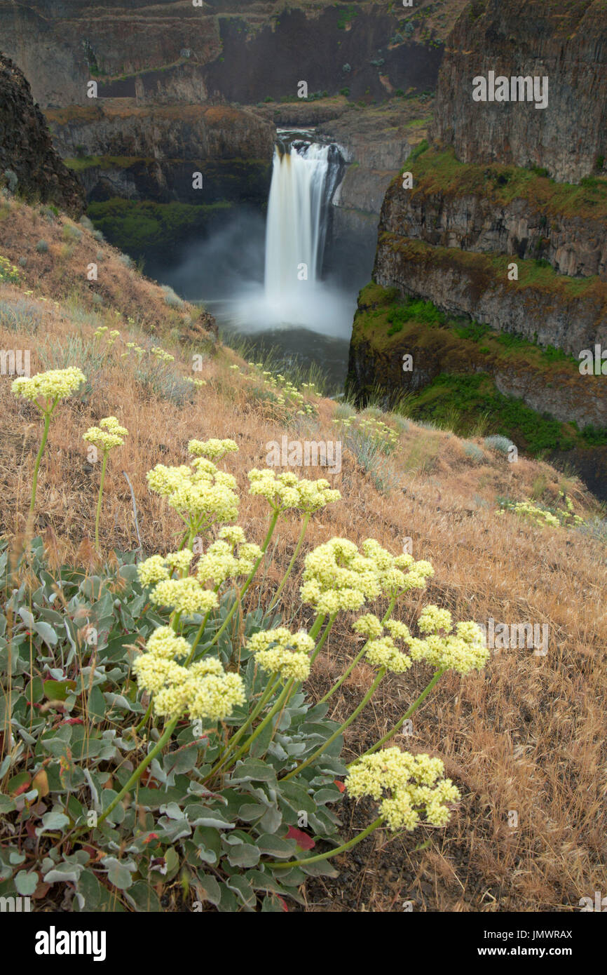 Palouse Falls, Palouse Falls State Park, Washington Stock Photo - Alamy