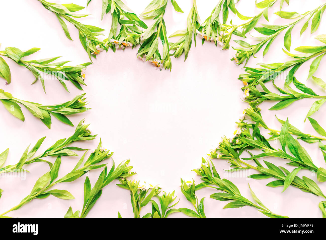 Heart shape frame with field flowers on the white background. Flat lay ...